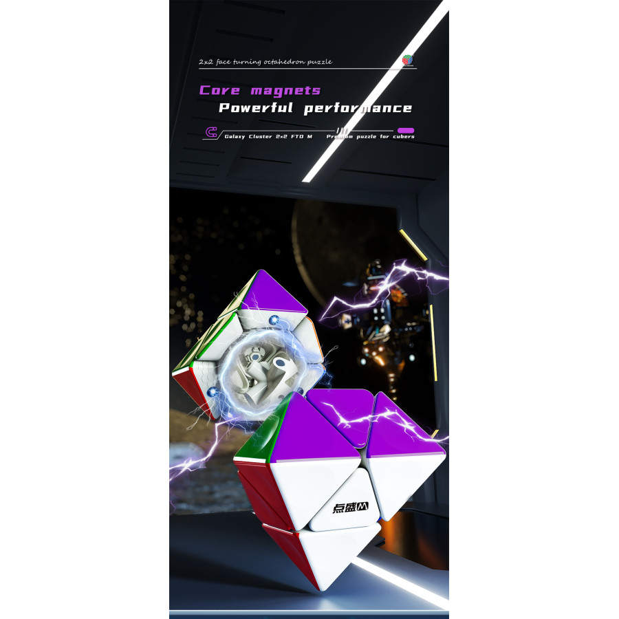 DianSheng FTO 2x2 Magnetic Black